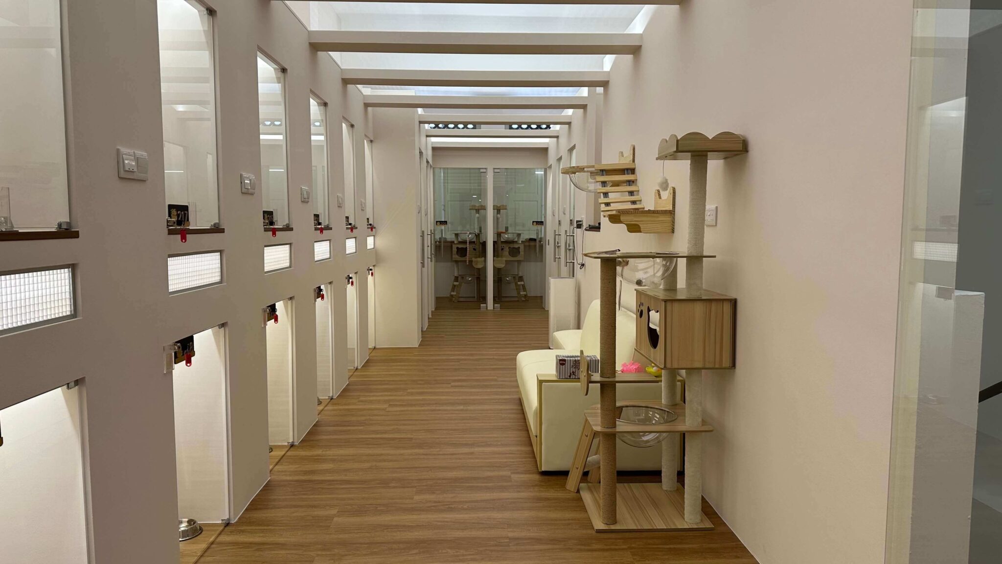 Cat Boarding Singapore | Luxury Cat Hotel & Boarding - TinyPaw